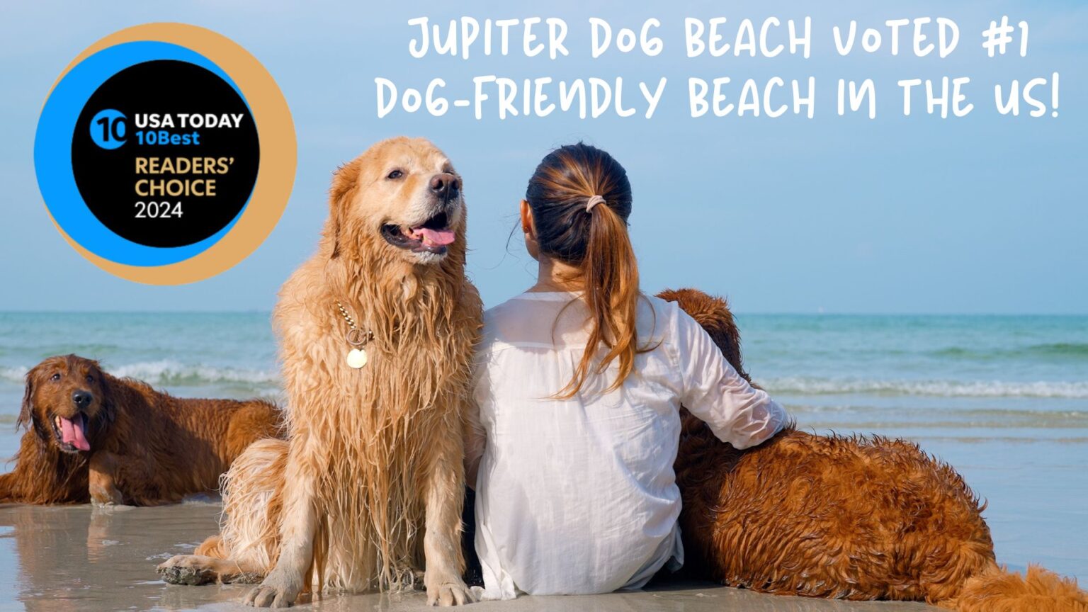 Jupiter Dog Beach – Friends of Jupiter Beach